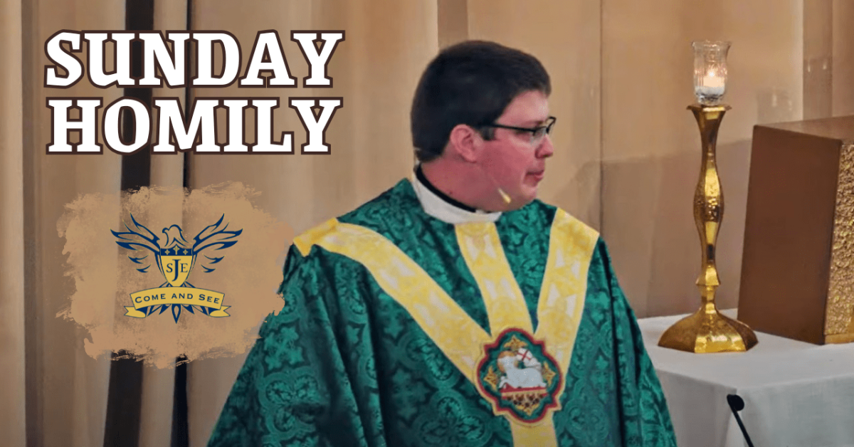 Homily, 6th Sunday Ordinary Time, 02/15/2026 – St. John the Evangelist ...