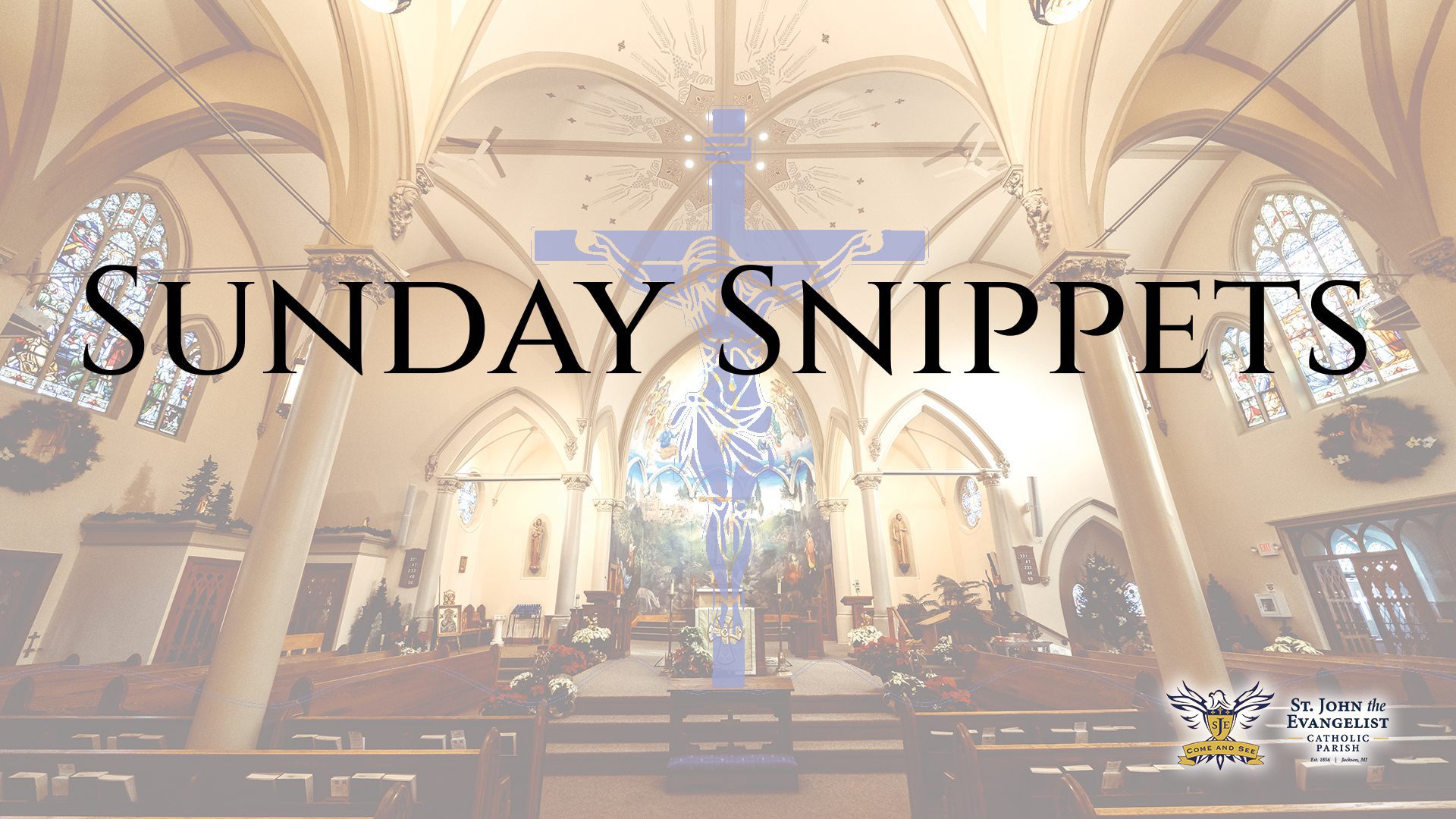 Homily Short, Third Sunday Easter, April 19, 2026 – St. John the ...